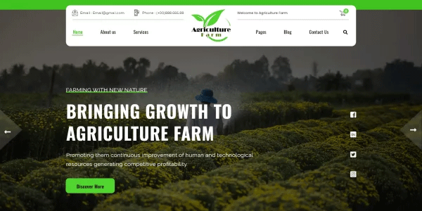 Free WordPress Themes Are Not Worth Your Precious Time