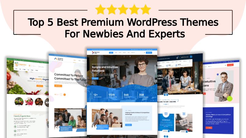 Truly Premium WordPress Themes That Are Best For Newbies