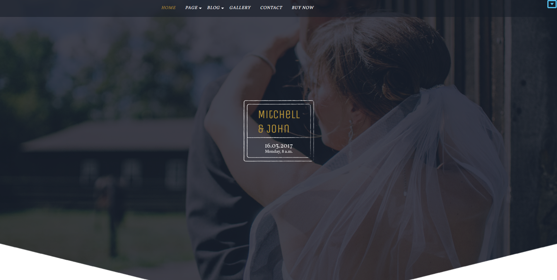 Top 10 Customizable WordPress Themes for WordPress website